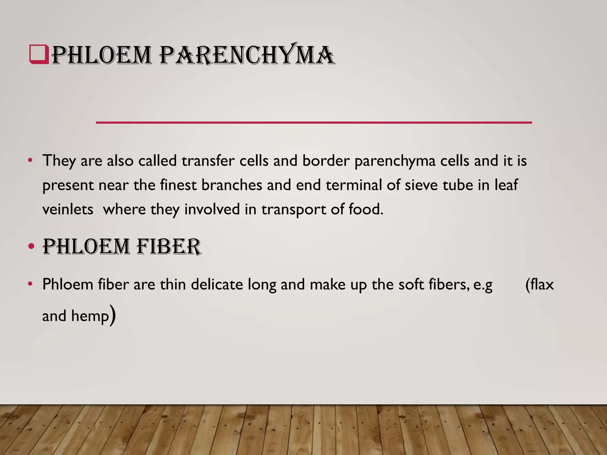 vascular tissue and its relation between primary and secondary tissue | PDF