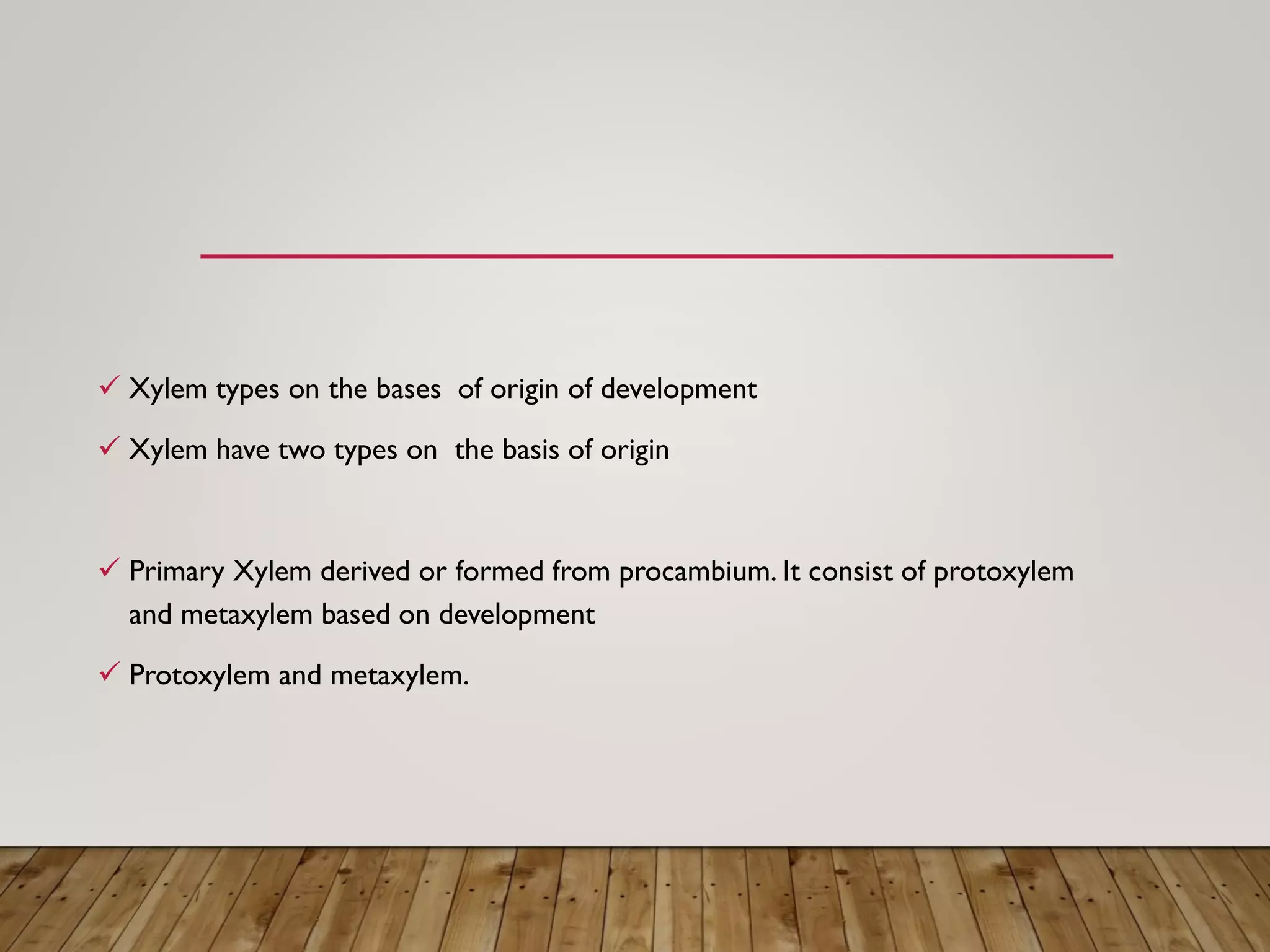 vascular tissue and its relation between primary and secondary tissue | PDF
