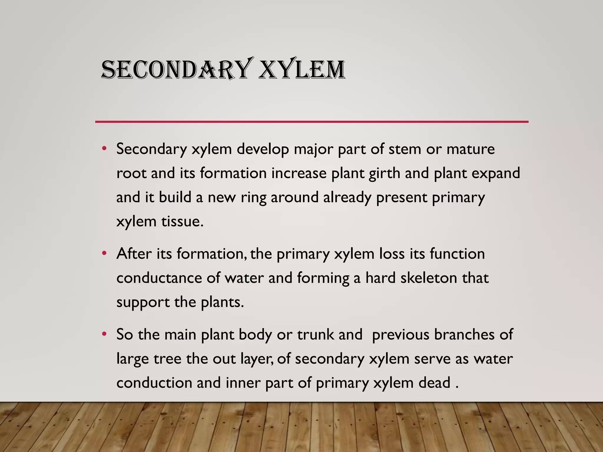 vascular tissue and its relation between primary and secondary tissue | PDF