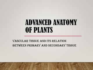 vascular tissue and its relation between primary and secondary tissue | PDF