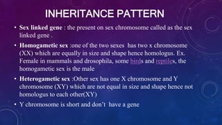 Assign. GP 506 sex linked genes AD.pptx