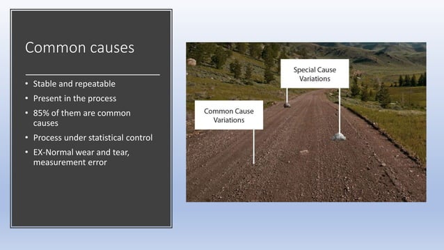 Assignable causes with examples and a case study | PPTX