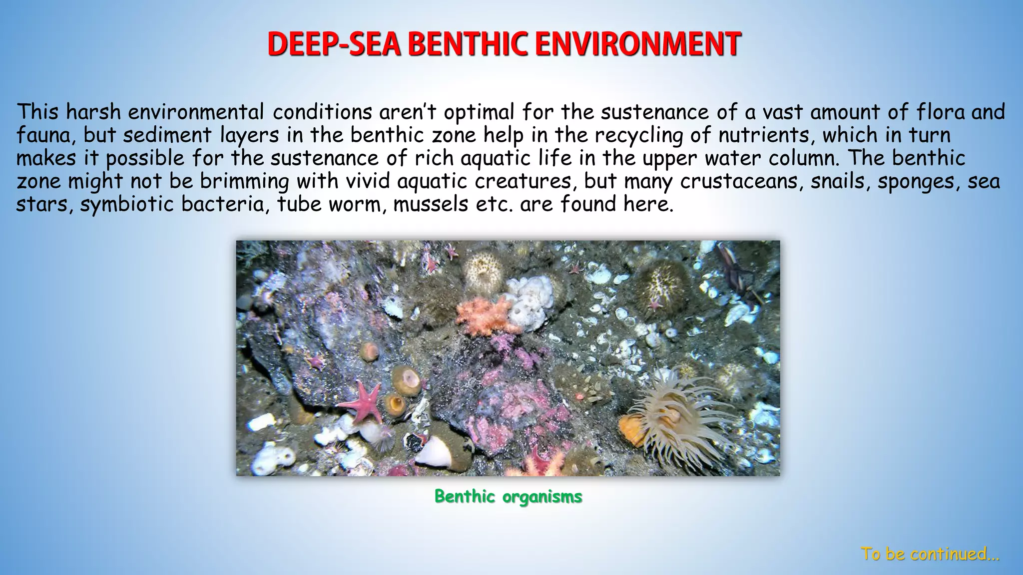 Benthic community | PDF