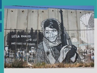 The Story of Two Occupied Countries: Ireland and Palestine | PPT