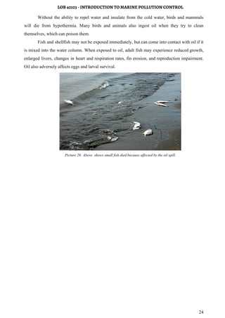 National Contingency Plan fro Combating Oil Spill From Ship | PDF