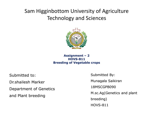 Genetically Modified Potato | PPTX | Agriculture | Industries