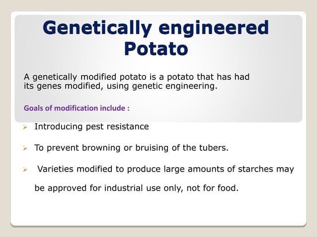 Genetically Modified Potato | PPTX | Agriculture | Industries