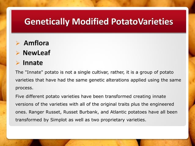 Genetically Modified Potato | PPTX | Agriculture | Industries