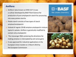 Genetically Modified Potato | PPTX