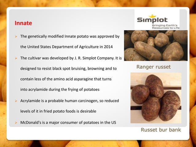 Genetically Modified Potato | PPTX | Agriculture | Industries