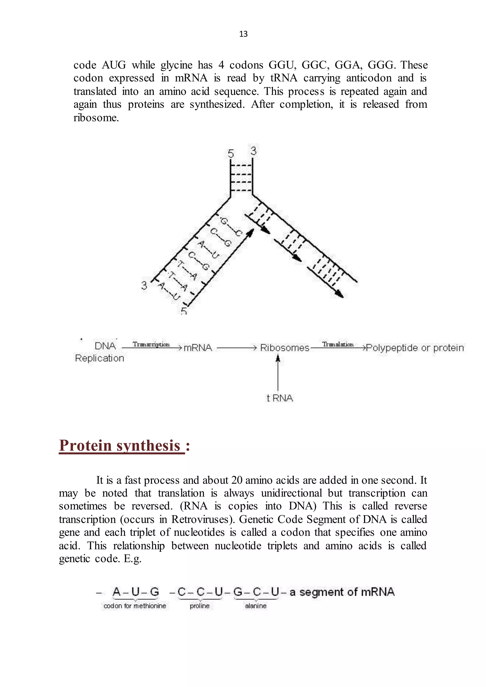 Biological functions of Nucleic Acids | DOCX