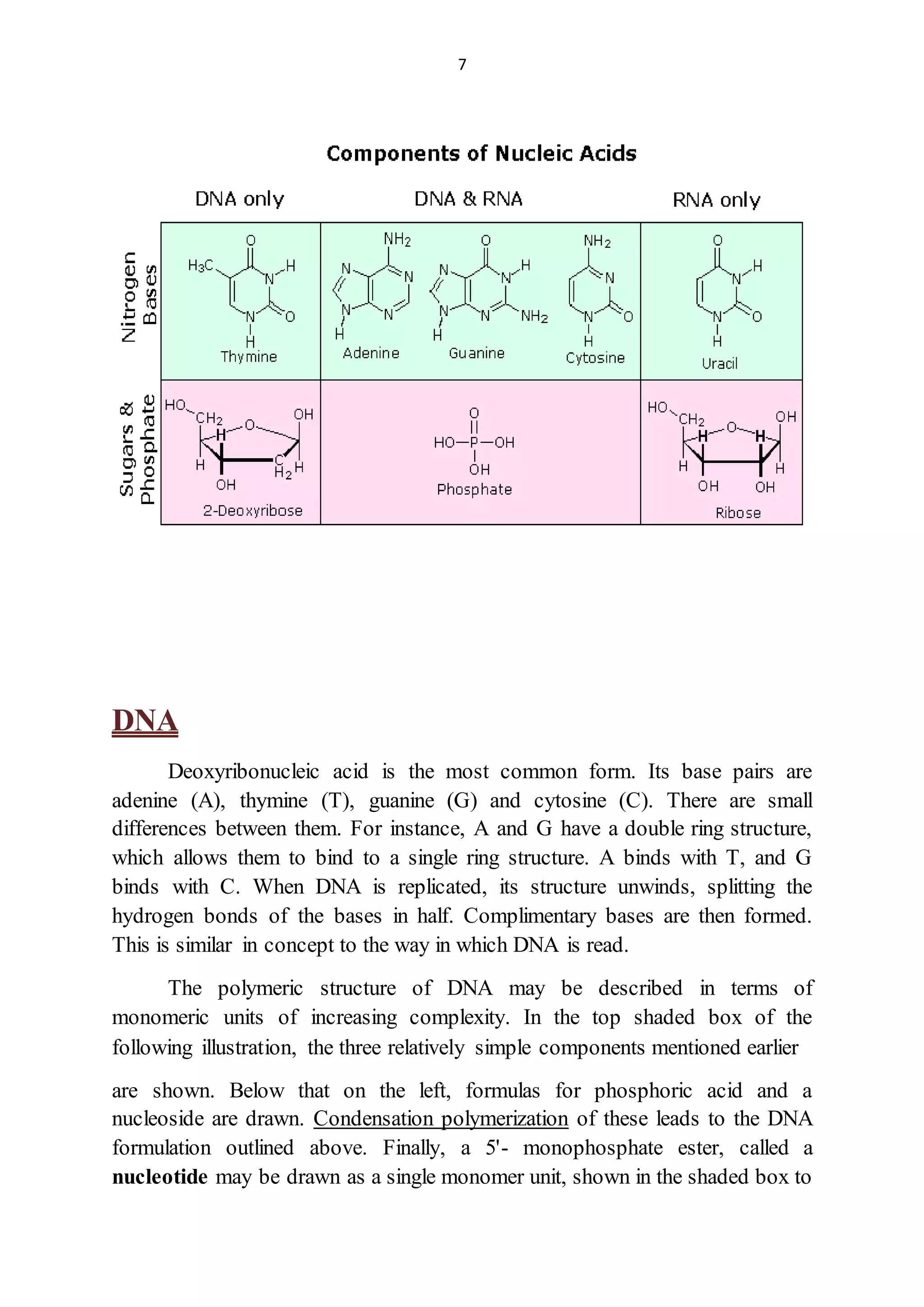 Biological functions of Nucleic Acids | DOCX
