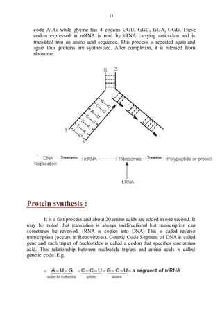 Biological functions of Nucleic Acids | DOCX