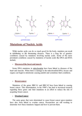 Nucleic Acids Function