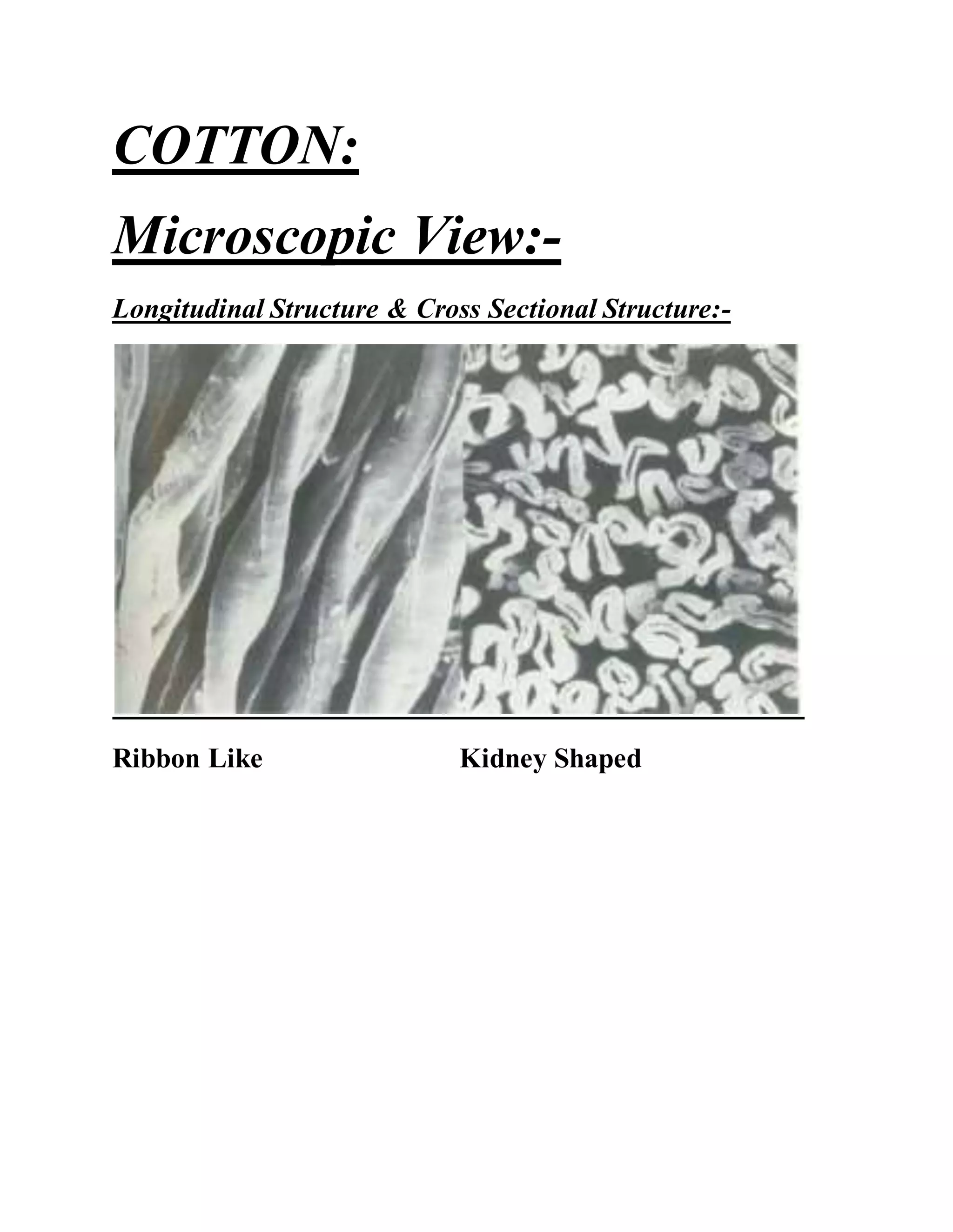 Microscopic View of fibers and their identification , solubility test ...