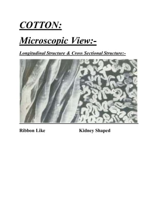 Jute Fiber Microscope