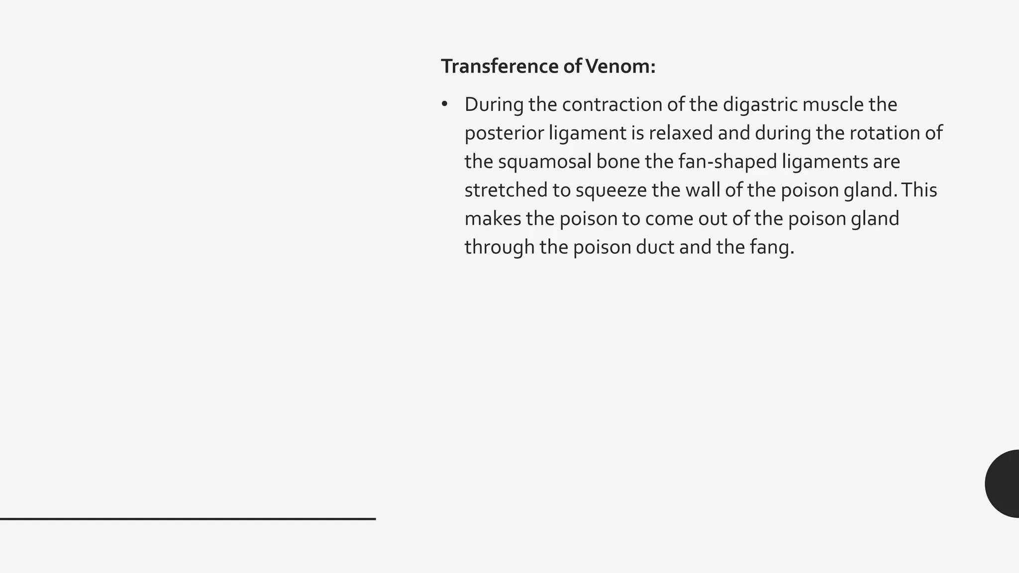 Biting mechanism of poisonous snakes.pdf