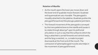 Biting mechanism of poisonous snakes.pdf