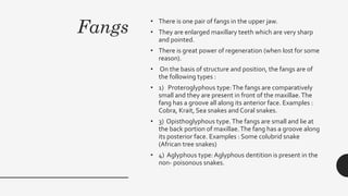 Biting mechanism of poisonous snakes.pdf