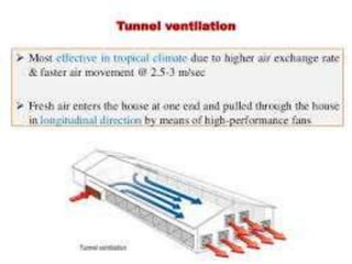 Management of Poultry House Ventilation by Dr.Muhammad Ashiq Toor | PPTX