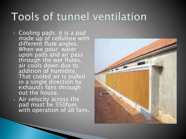 Management of Poultry House Ventilation by Dr.Muhammad Ashiq Toor ...