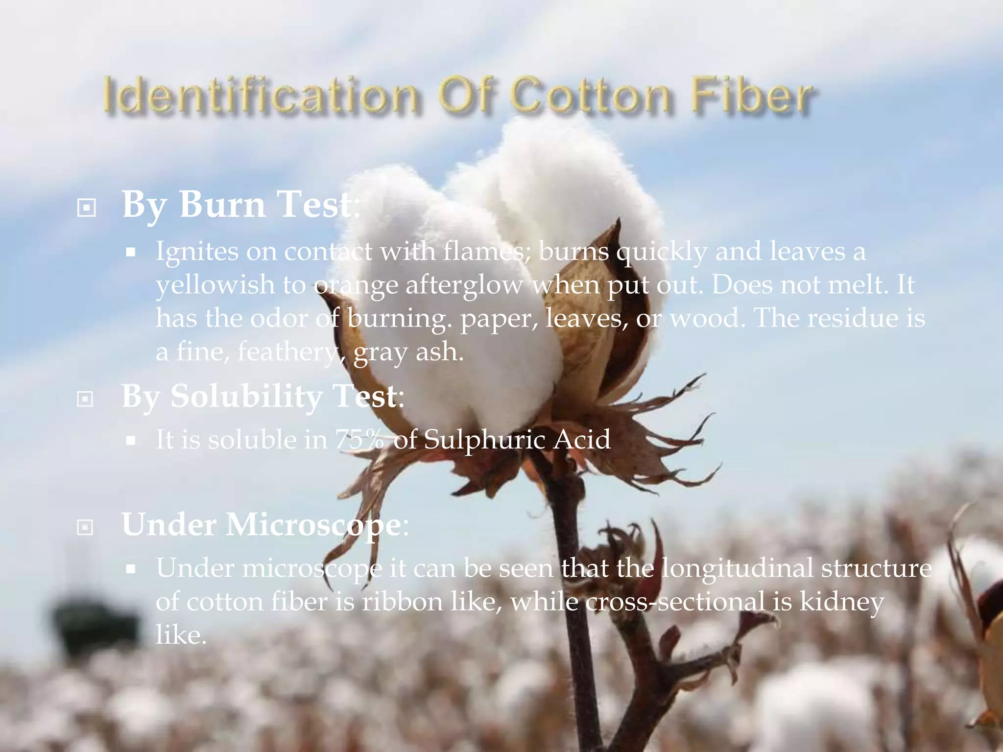 Identification of Textile Fibers | PPT