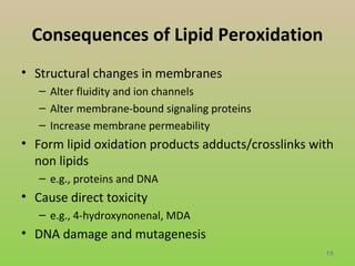 lipid oxidation | PPT