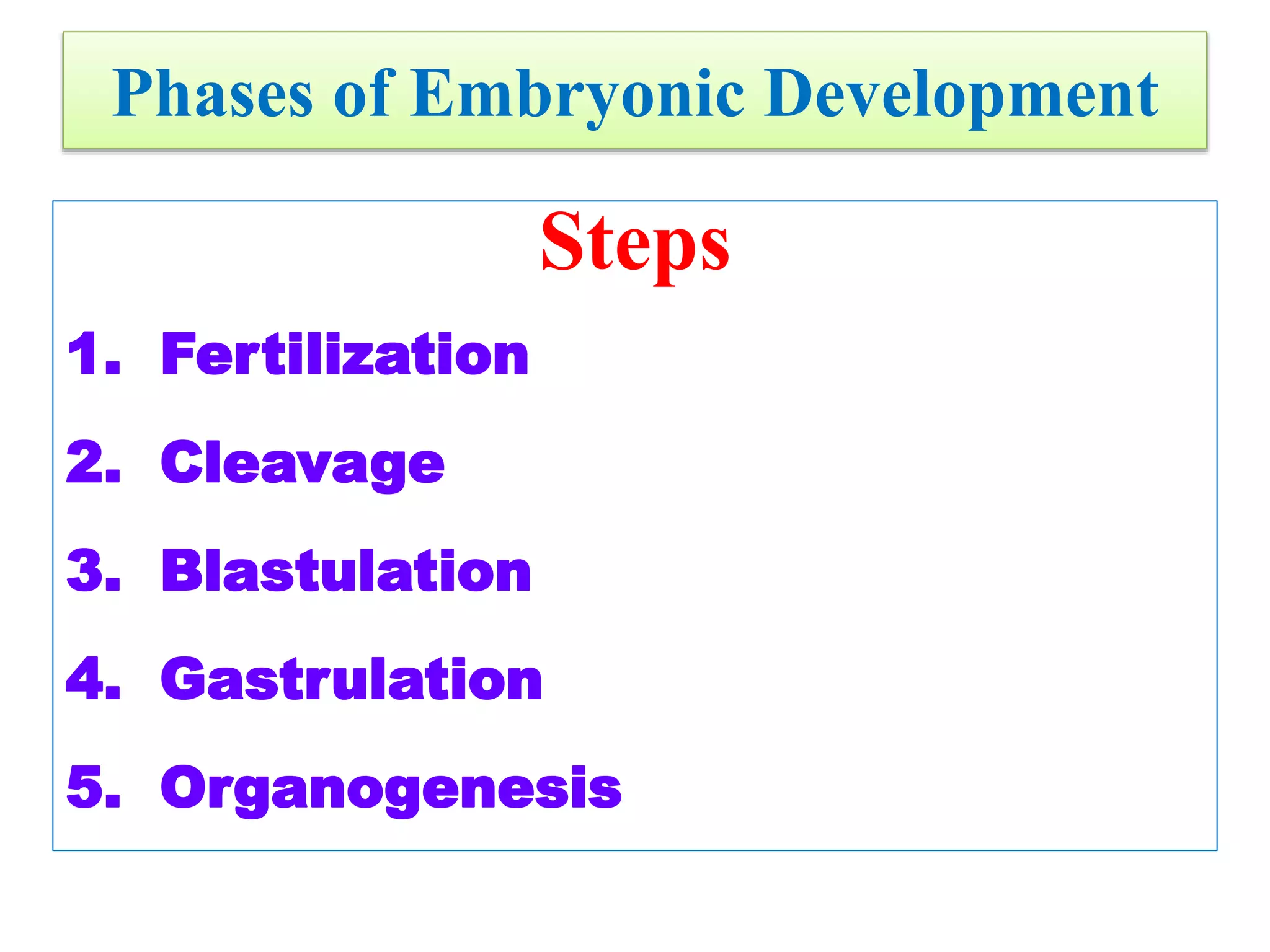 Early Embryonic development in farm animals | PPTX