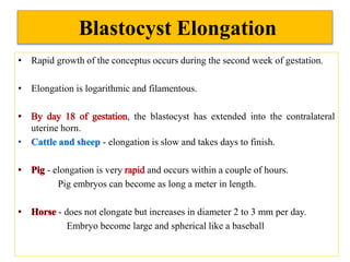 Early Embryonic development in farm animals | PPTX