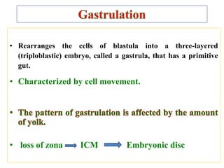 Early Embryonic development in farm animals | PPTX