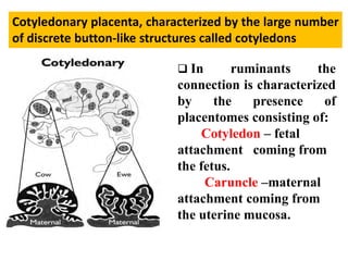 Early Embryonic development in farm animals | PPTX