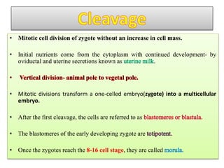 Early Embryonic development in farm animals | PPT