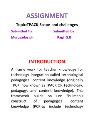 online Assignment | PDF