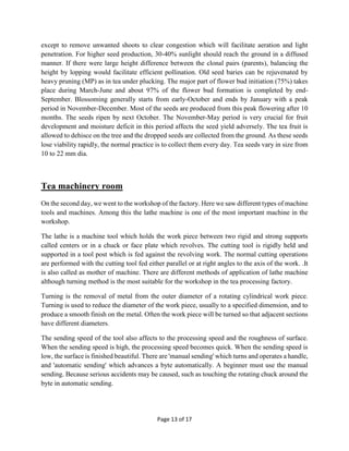 Tea Manufacturing, Tea Testing & Tea Machinery pdf | PDF