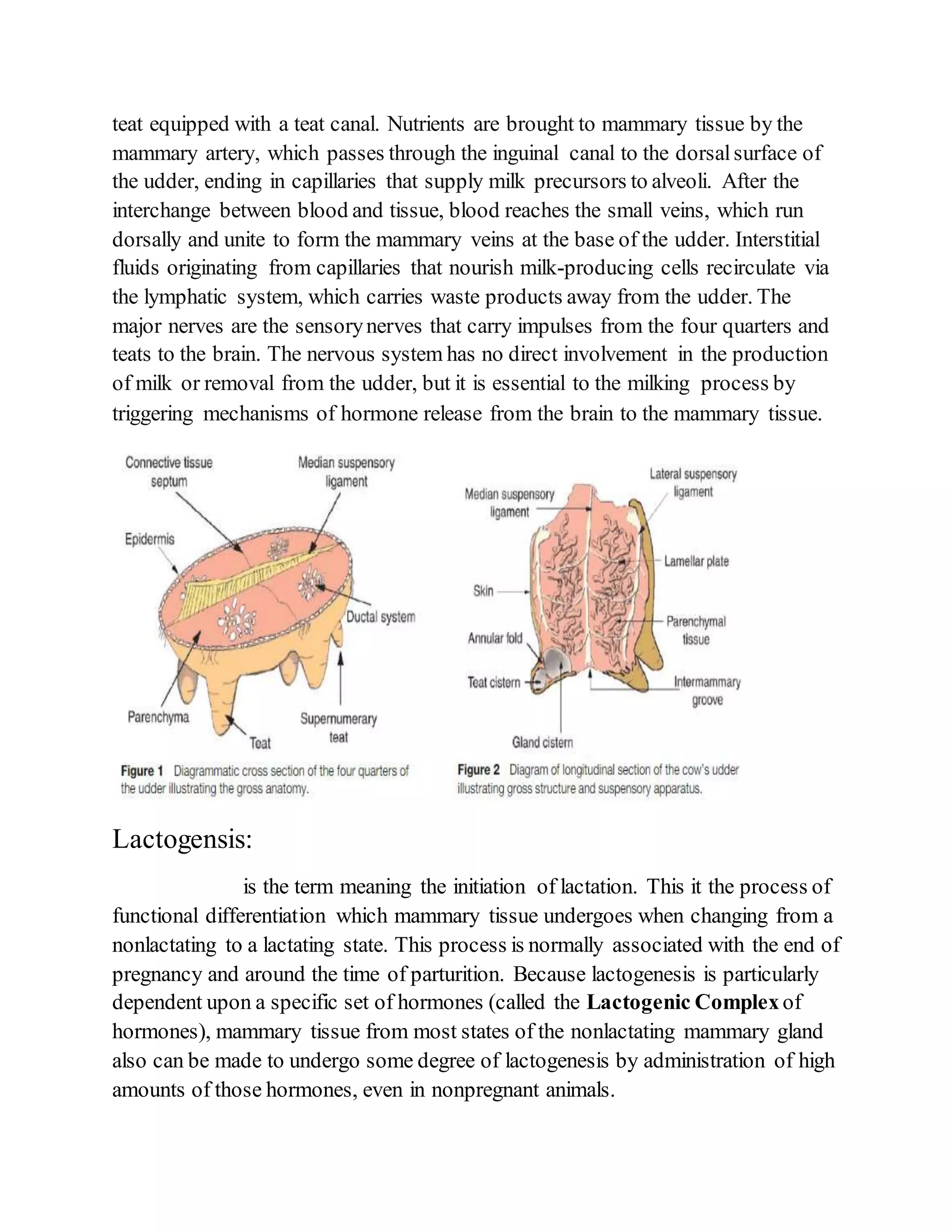 MILK SYNTHESIS and lactation | DOCX