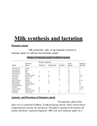 MILK SYNTHESIS and lactation | DOCX
