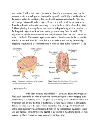 MILK SYNTHESIS and lactation | DOCX