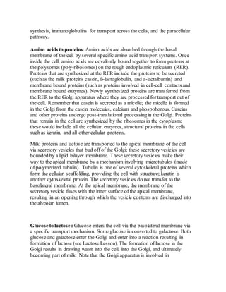 MILK SYNTHESIS and lactation | DOCX