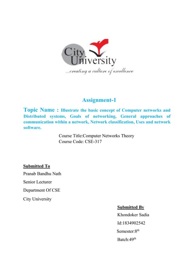 Assignment 1,computer networks-317 | PDF