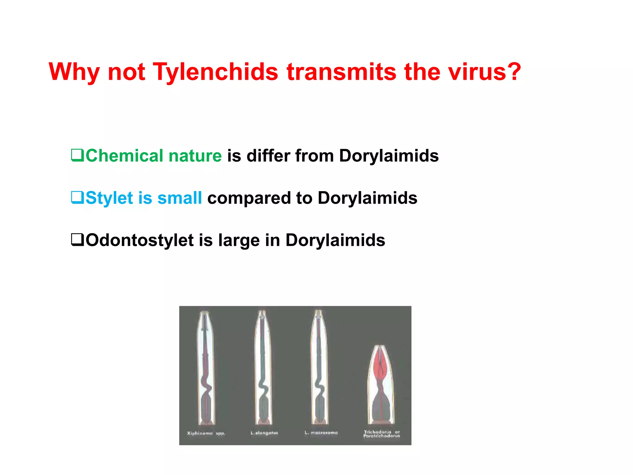 Nematode virus interaction | PPTX