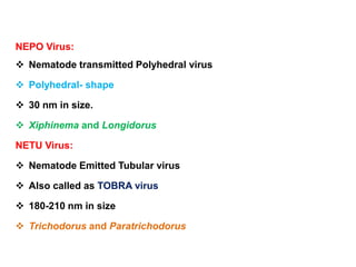 Nematode virus interaction | PPTX