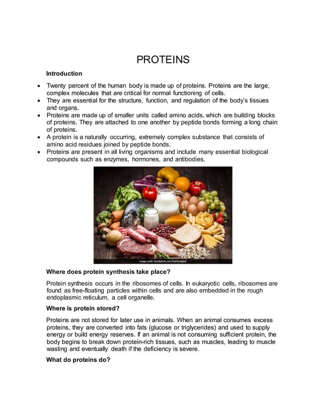 Proteins | PDF