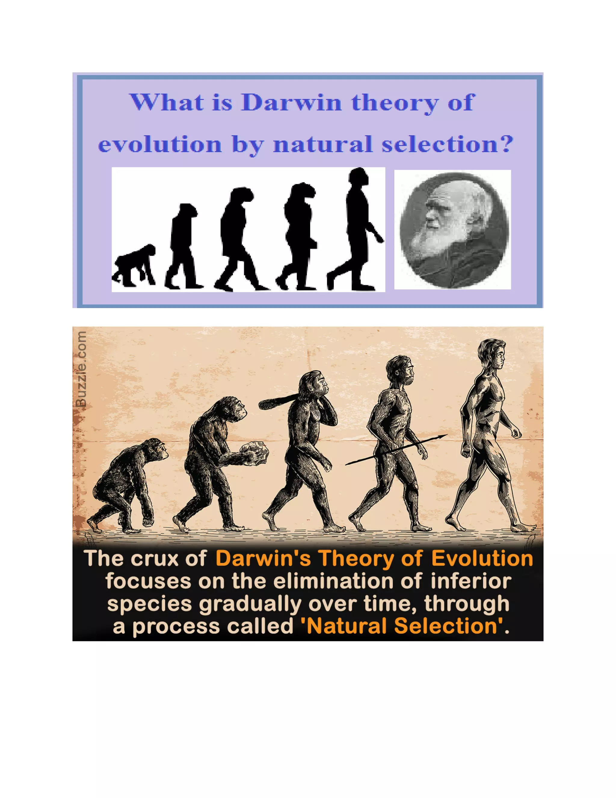 natural selection theory of darwin | PDF