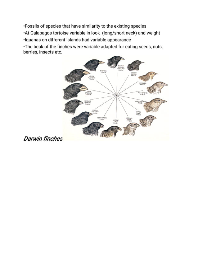 natural selection theory of darwin | PDF | Free Download