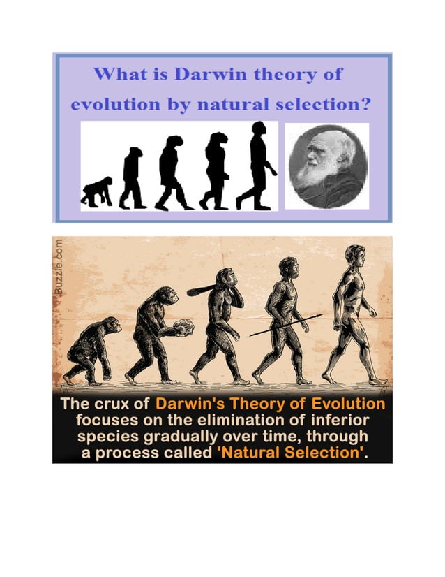 natural selection theory of darwin | PDF