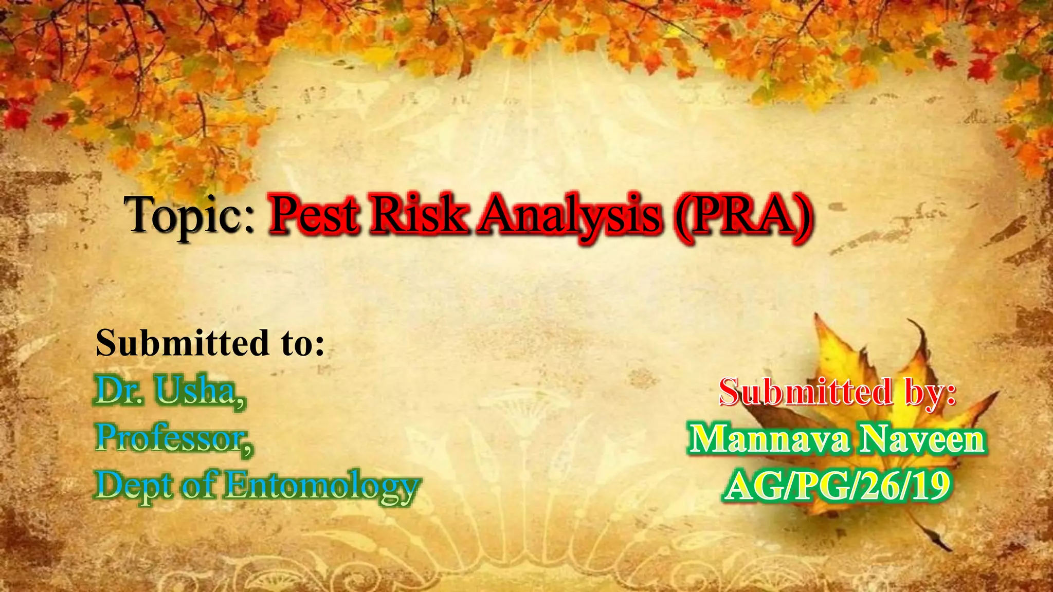 Pest risk analysis | PPTX