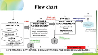 Pest risk analysis | PPTX