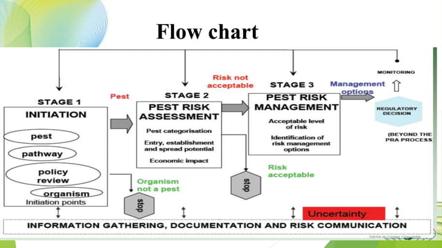 Pest Risk Analysis Ppt