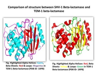 pbd_assignment | PPT