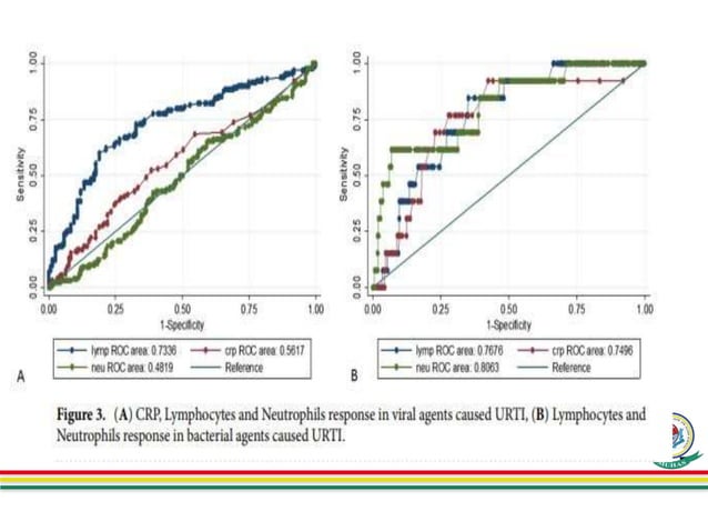 ASSIGNMENT.pptx. explaining about Rock curve | PPT